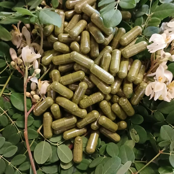 Real McArthur Moringa Capsules | 100% Natural & Vegan